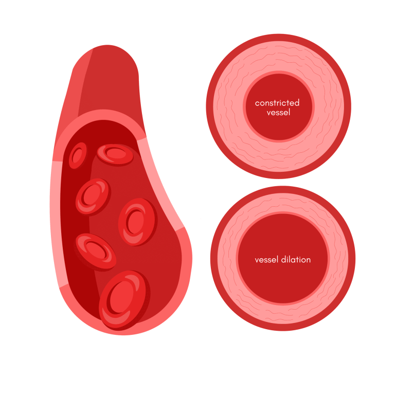 OnLux Study – OnLux